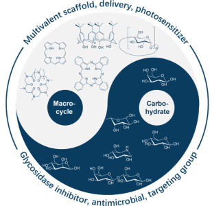 2023-郭东升课题组